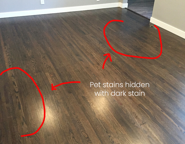 What If My Hardwood Floor Has Pet Stains 50 OFF What If My Hardwood Floor Has Pet Stains 50 OFF